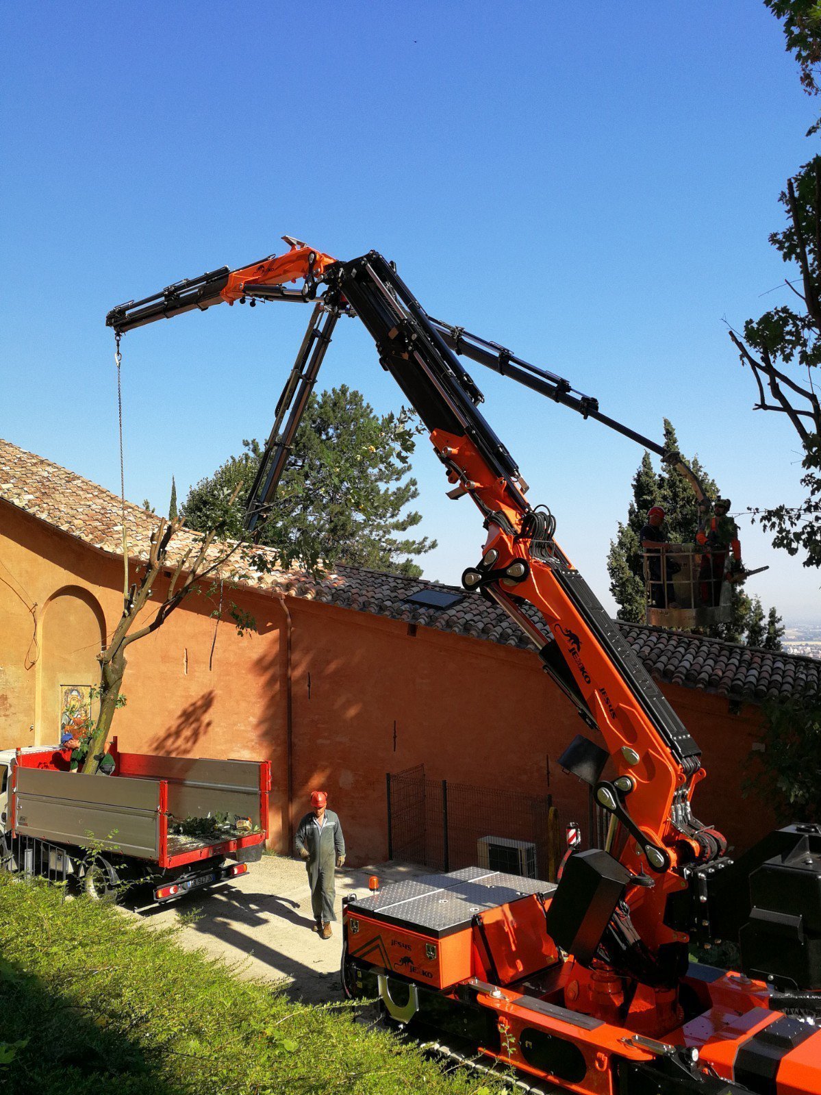 Pruning and tree felling - Jekko Pruning and tree felling - Jekko